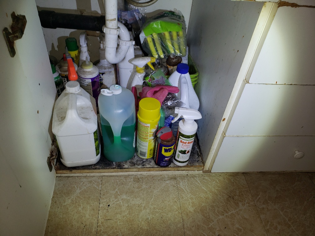 Water Damage Inspection Service – Detect & Repair Damage