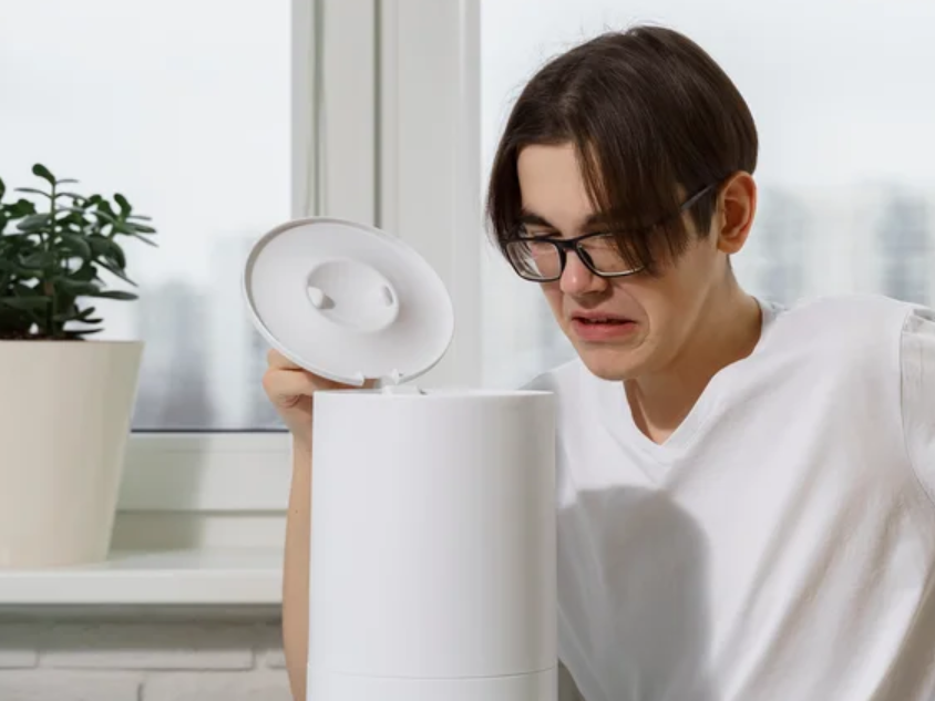 Add This Secret Weapon To Your Humidifier To Prevent Unwanted..