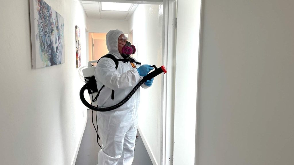 Professional Mold Inspection & Removal Company in Los Angeles | FunGuy ...