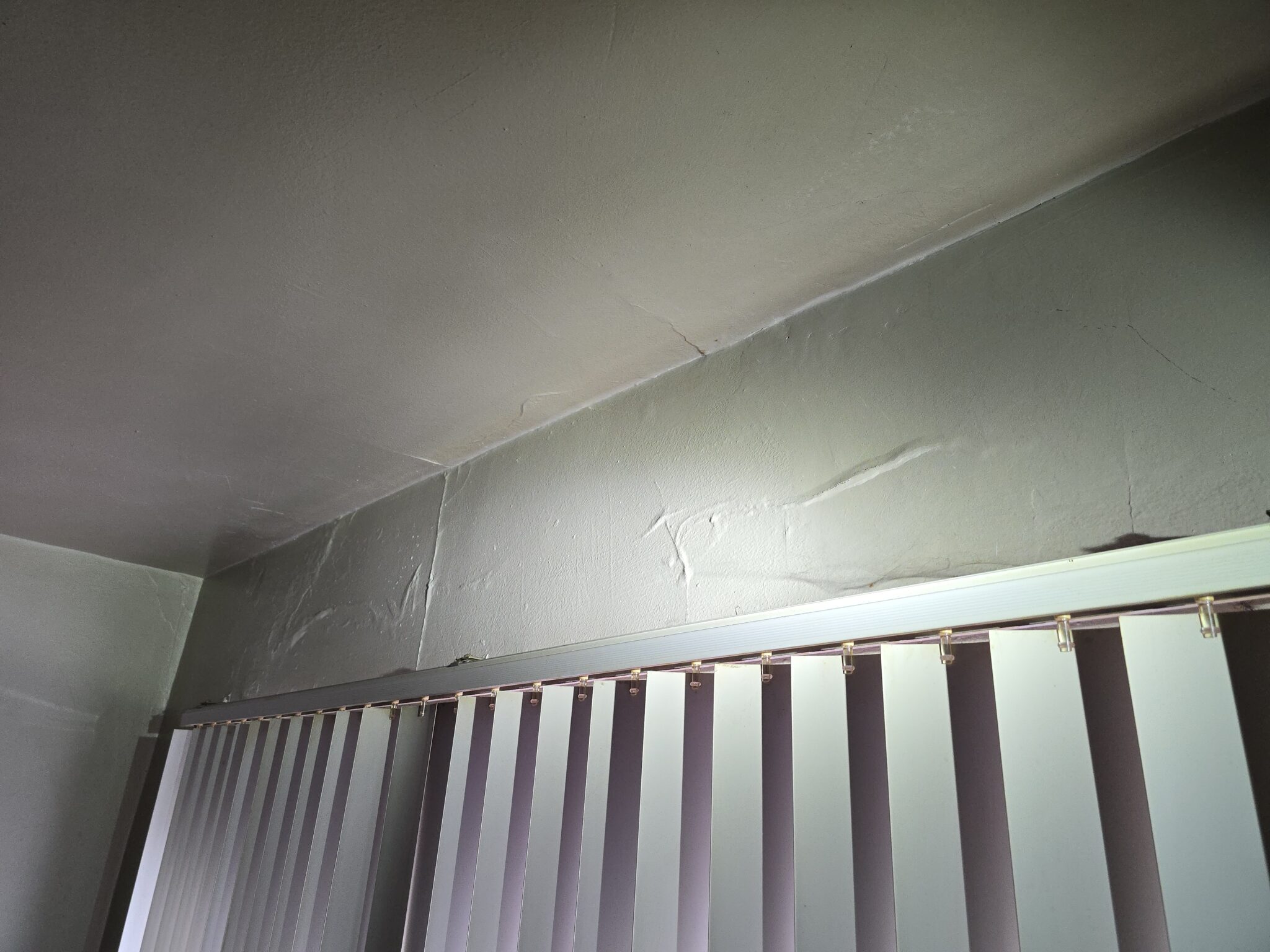Finding a Reliable Mold Inspection Near Me: The Torrance Homeowner’s ...